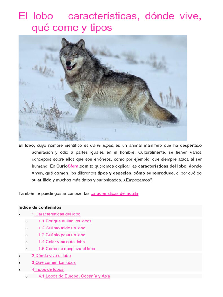 EL LOBO (Trabajo Escolar) | PDF | Depredación | del perro
