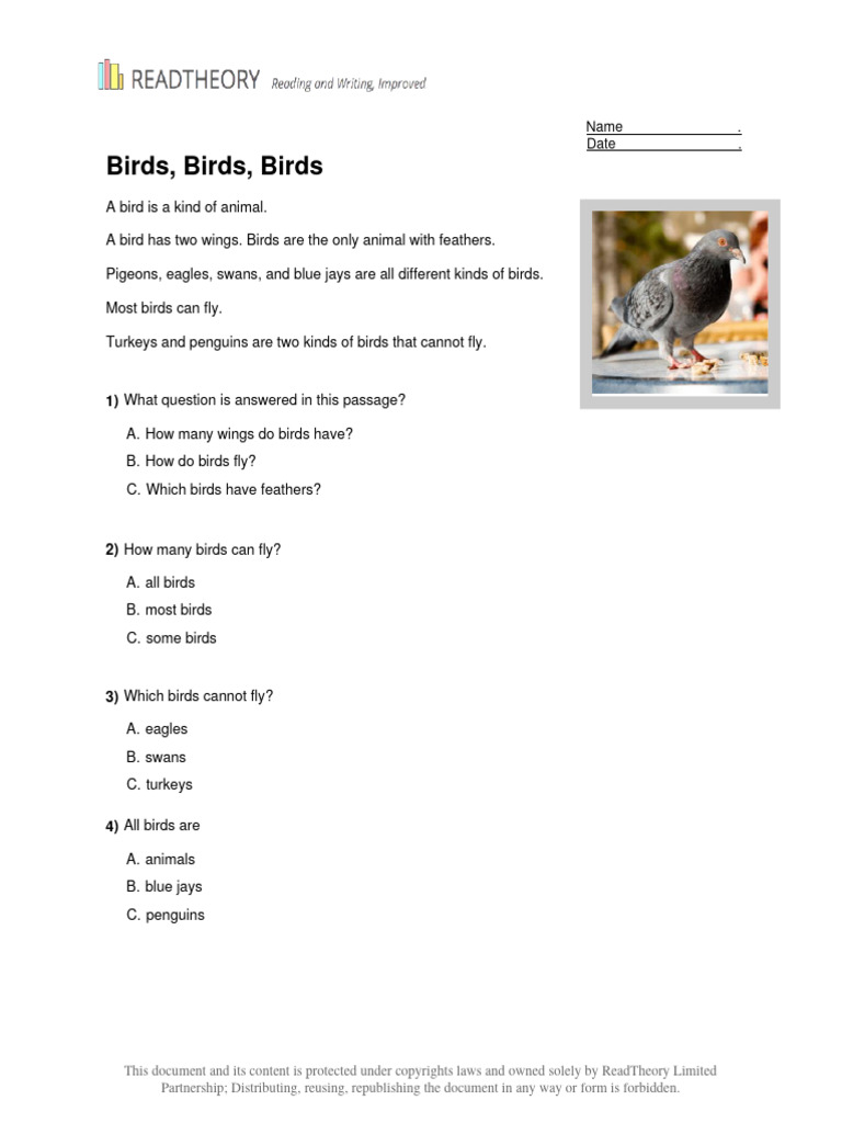 1st Grade BirdsBirdsBirds All | PDF | Foreign Language Studies