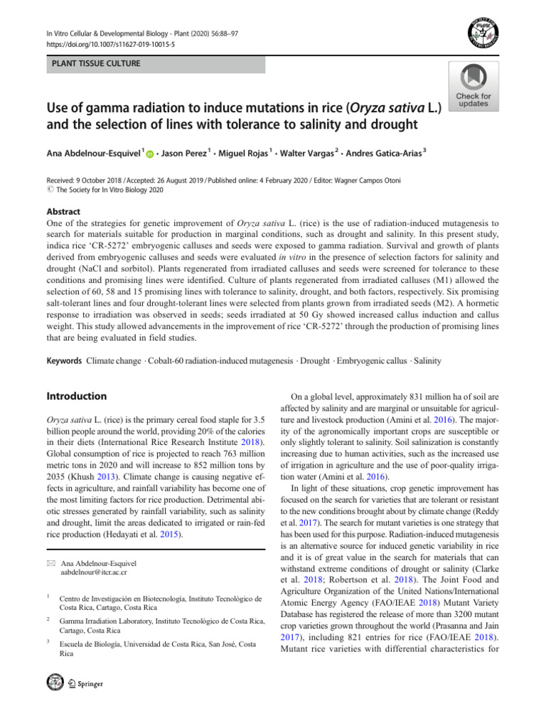 Use of Gamma Radiation To Induce Mutations in Rice (Oryza Sativa L ...