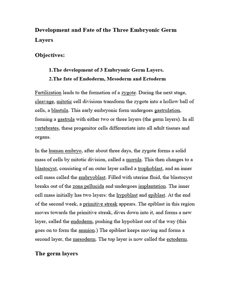 Fate Of 3 Germ Layers Pdf Anatomy Tissue Biology