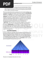 Levine BSFC6e PPT Ch02 | PDF | Histogram | Chart