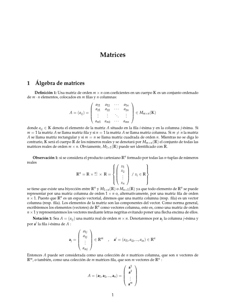 Leccion 1 - Matrices | PDF | Matriz (Matemáticas) | Espacio vectorial