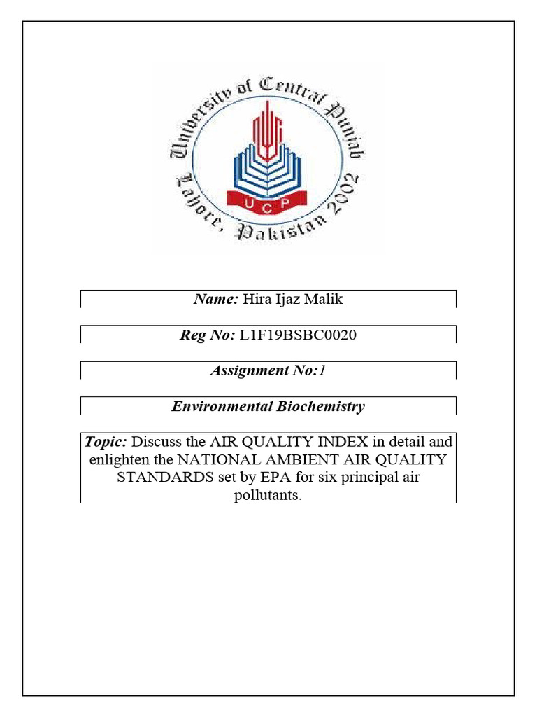 New Docx Document Pdf Air Pollution Particulates