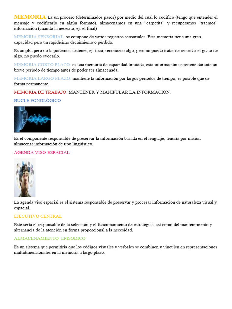 MEMORIA, TIPOS, DEFINICIÓN | PDF