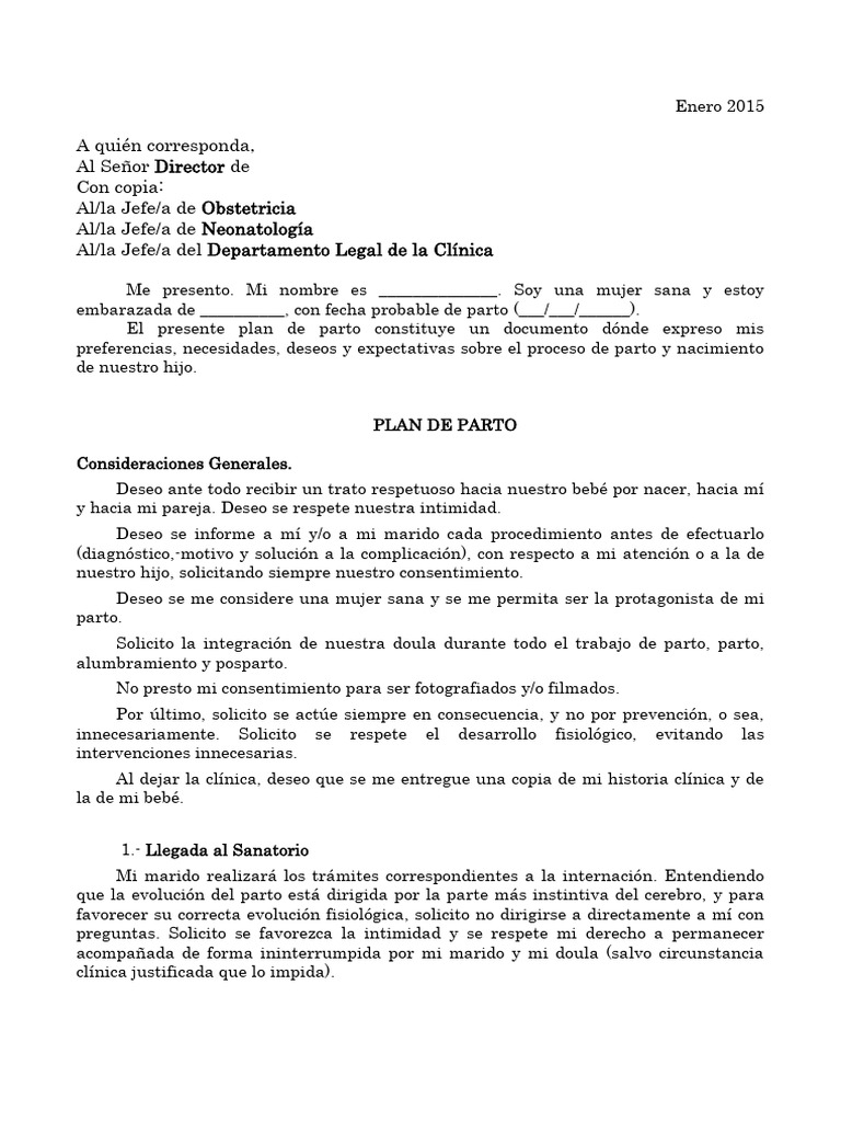 Ejemplo Plan de Parto 18 | PDF | Parto | Embarazo humano