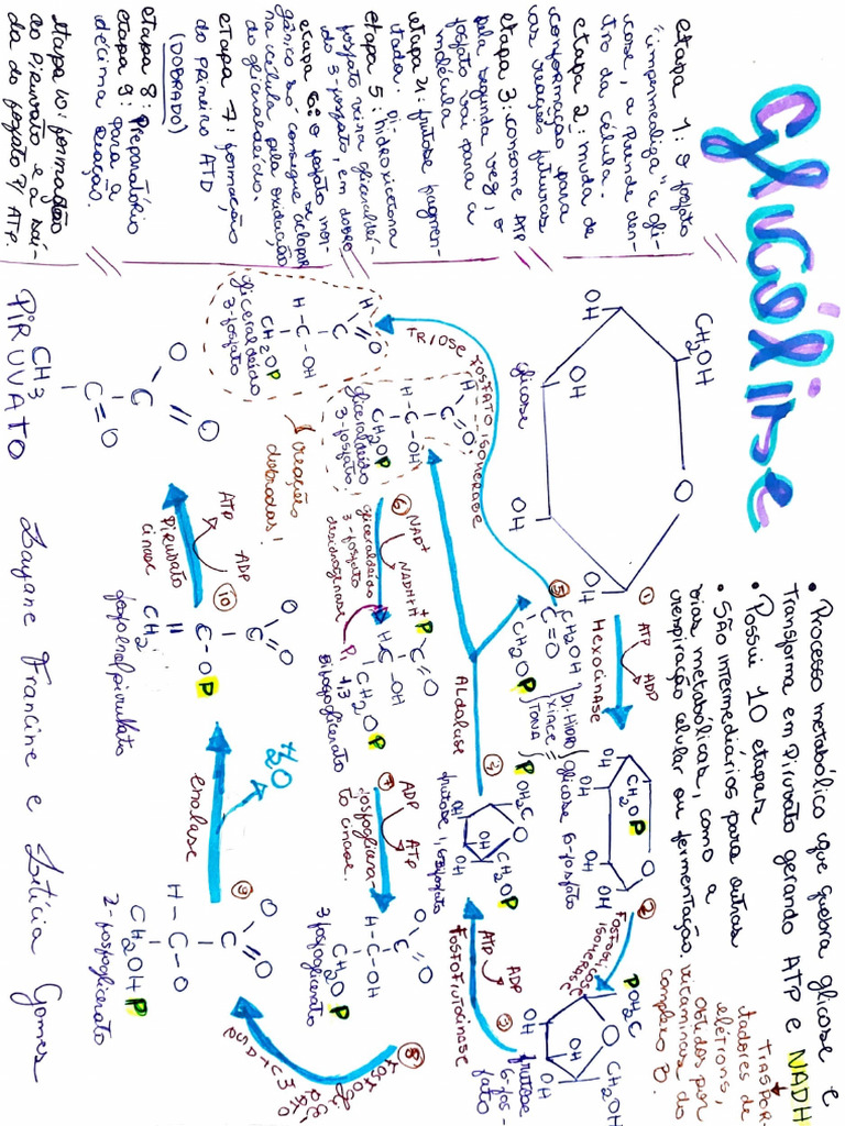 Mapa Mental - Biofísica | PDF