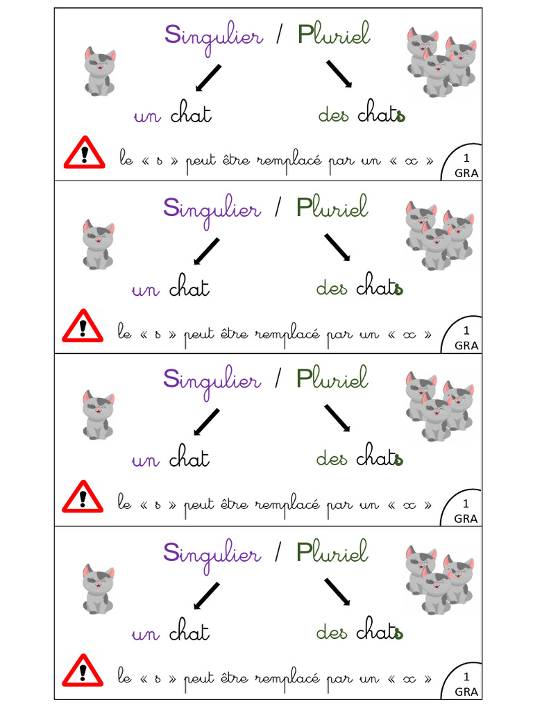 mémo pluriel singulier | PDF