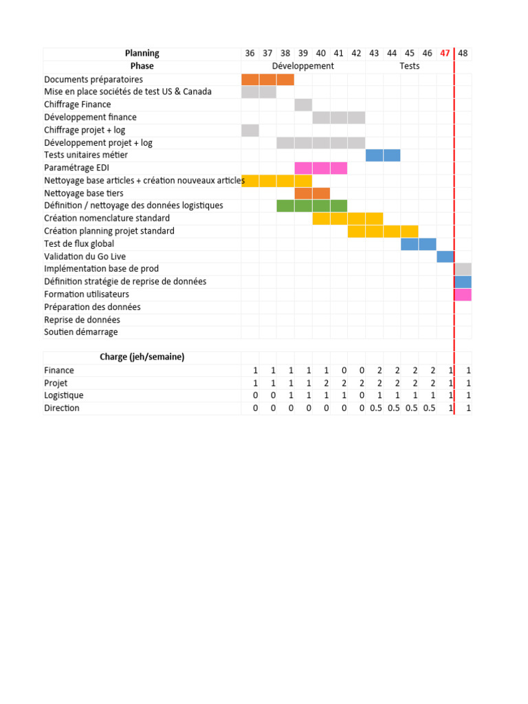 Exemple de Macro Planning Projet | PDF