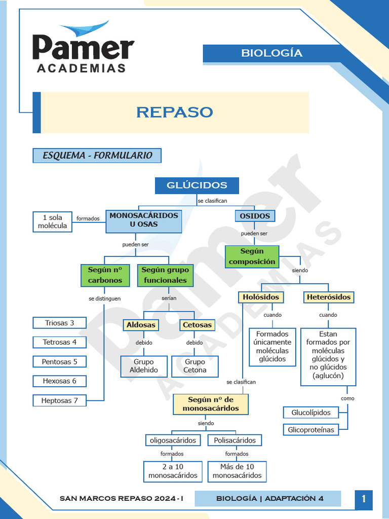 Biologia - Adap 4 | PDF | Carbohidratos | Lípido