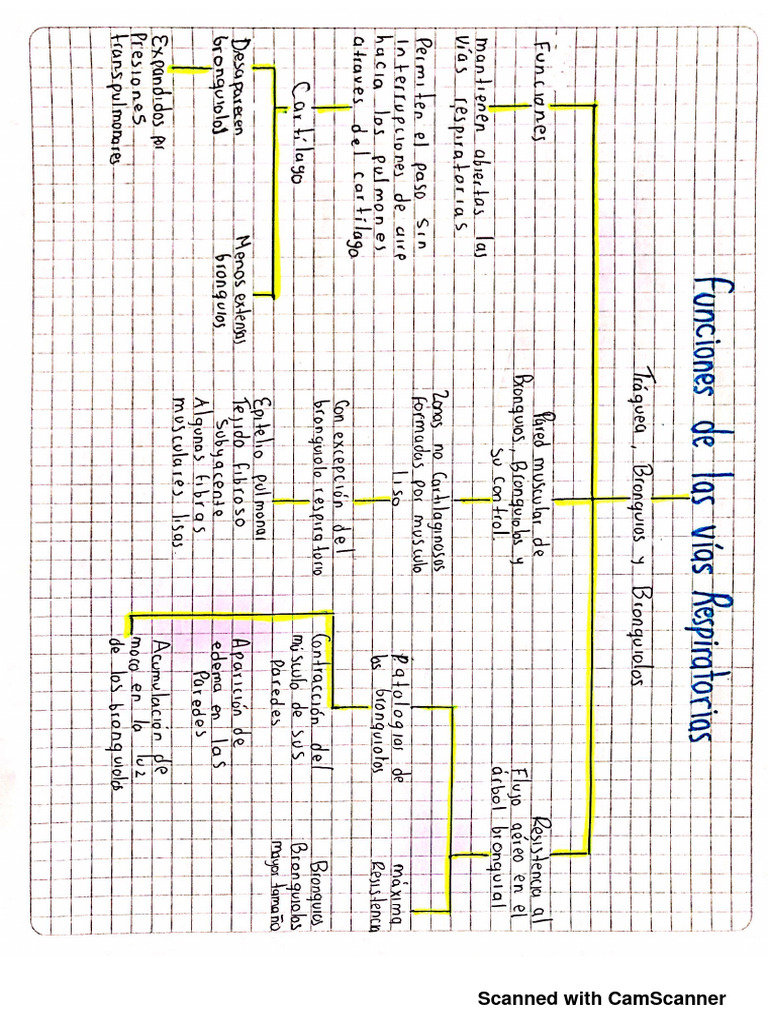 Mapas Conceptuales de Fisiología | PDF