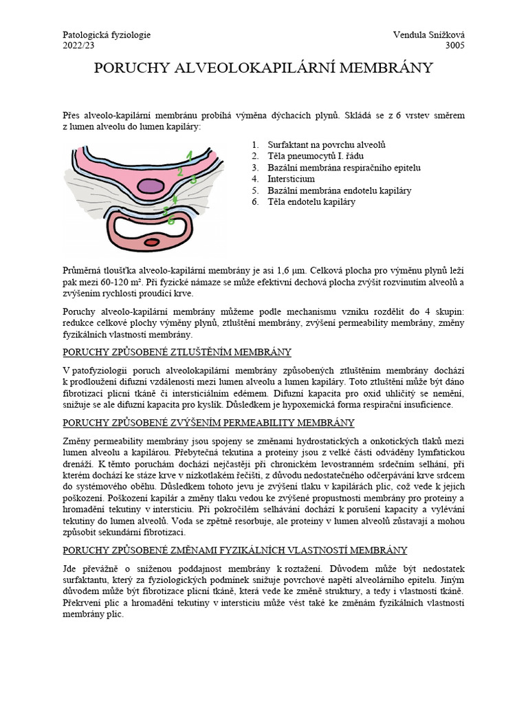Poruchy Alveolokapilární Membrány | PDF
