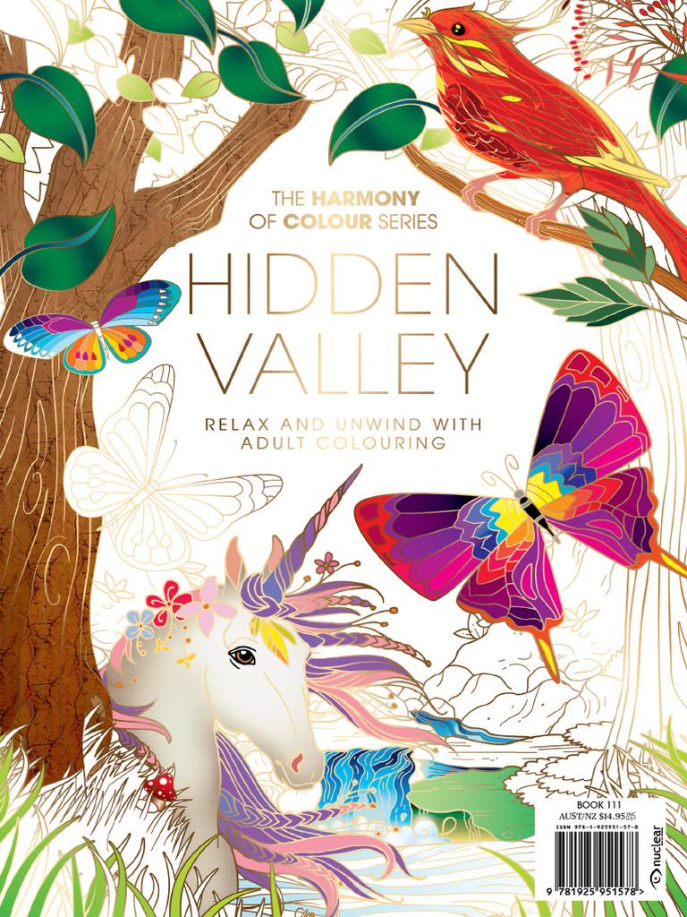 Colouring Book Hidden Valley I111 2024 | PDF