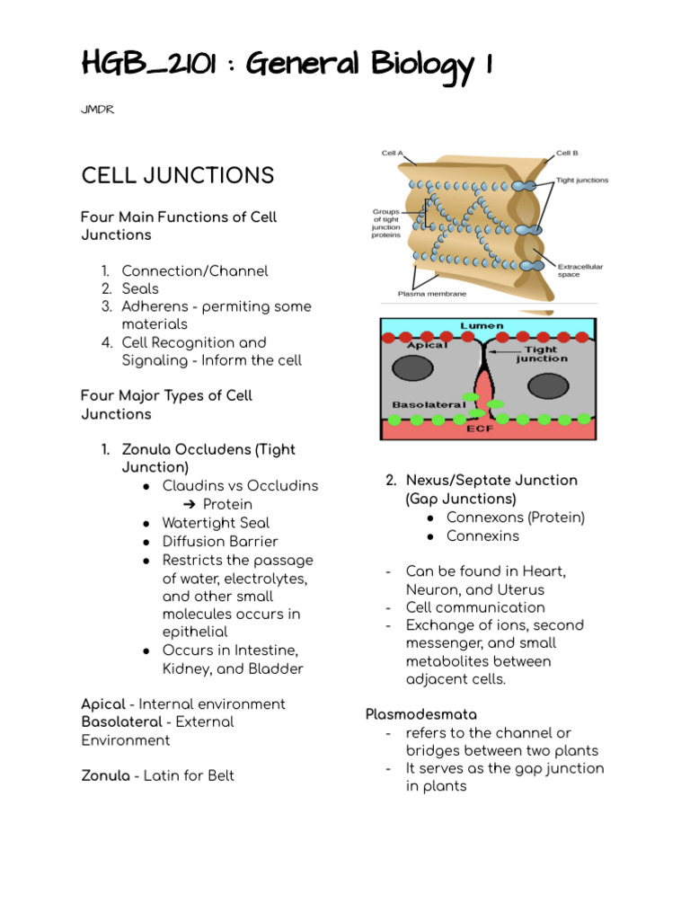 BIOLOGY-2ND-QUARTER-REVIEWER | PDF | Carbohydrates | Enzyme