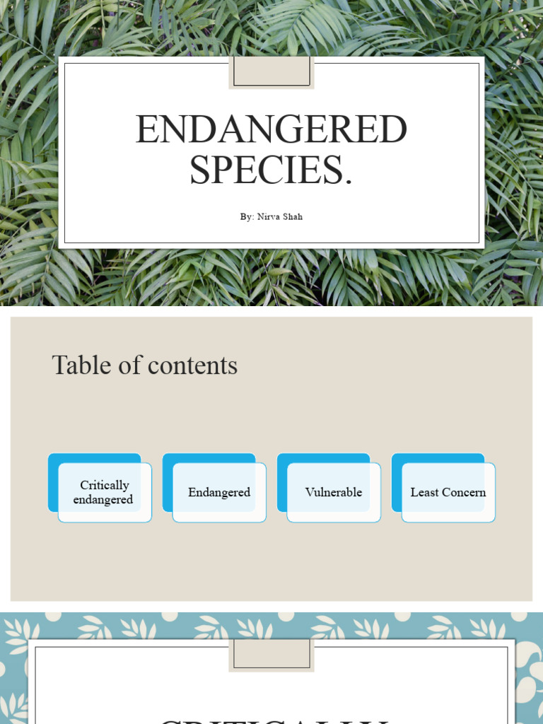 Endangered Species | PDF | Endangered Species | Polar Bear