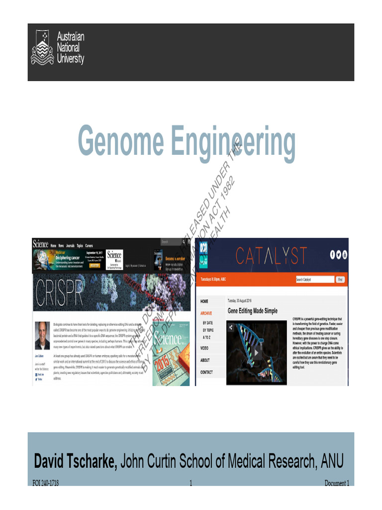 Presentation Gene Engineering | PDF | Genetic Engineering | Polymerase ...