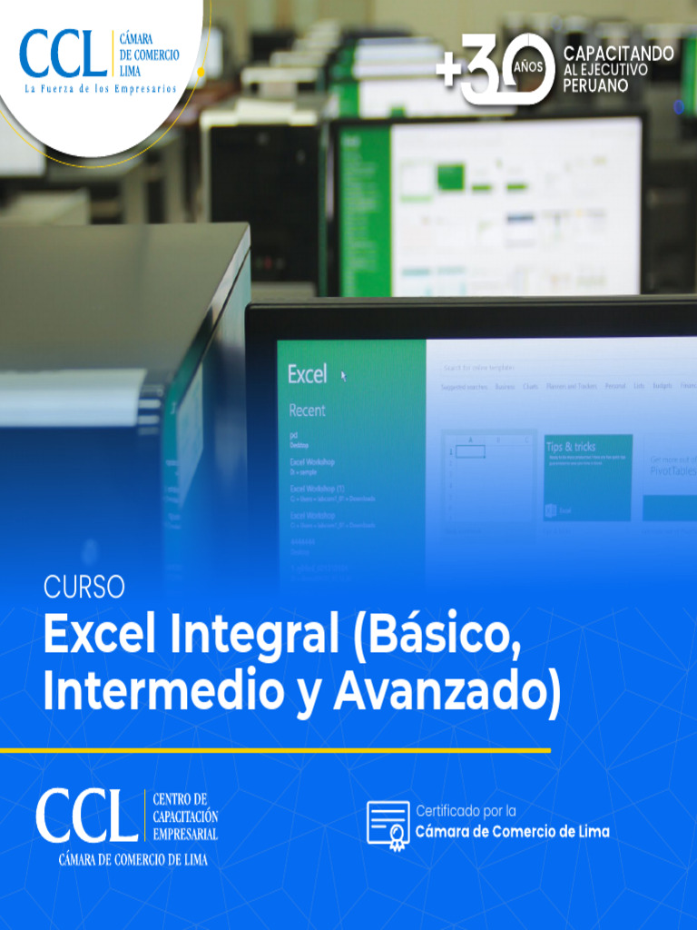 Curso Brochure Excel Integral CCL 2023 | PDF