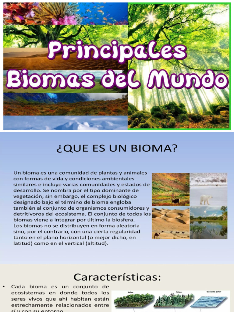 Biomas Del Mundo | PDF | Ciencia y matemáticas