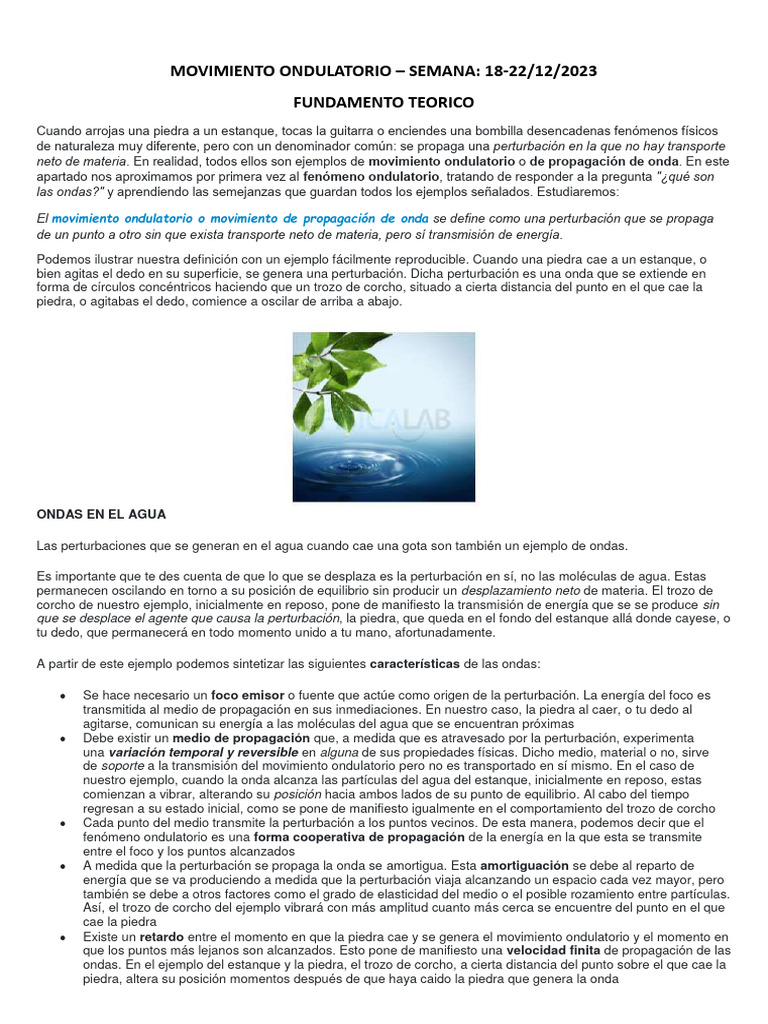 Movimiento Ondulatorio | PDF | Olas | Sonido