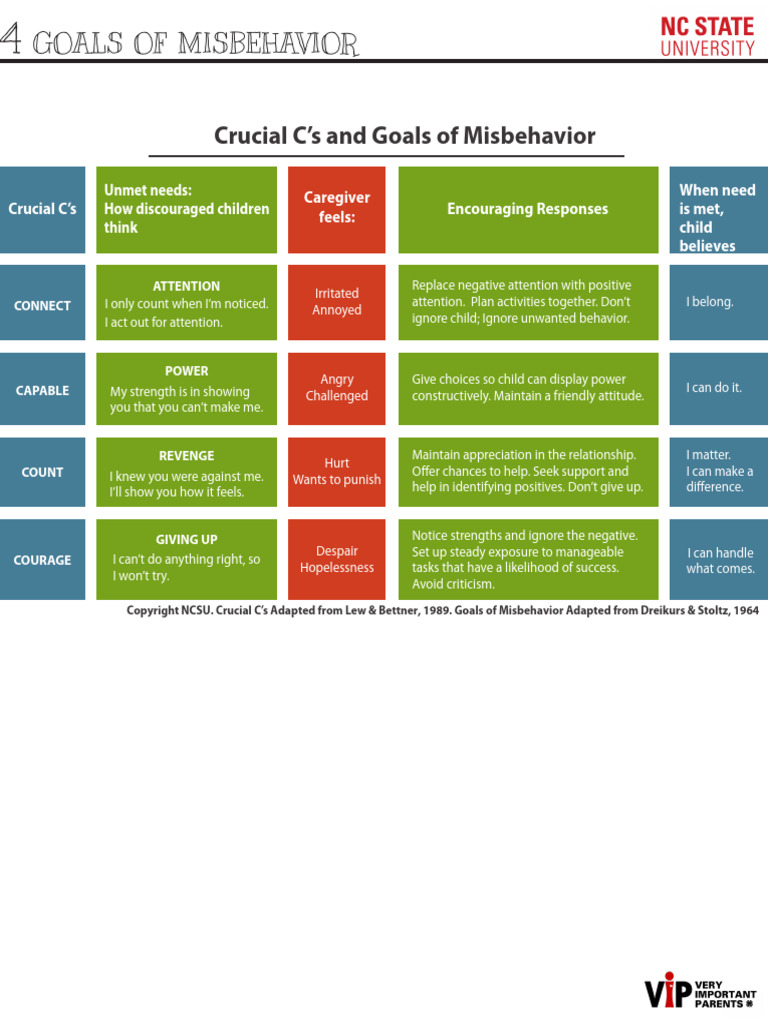 Crucial C S and Misbehavior | Download Free PDF | Behavior | Psychology