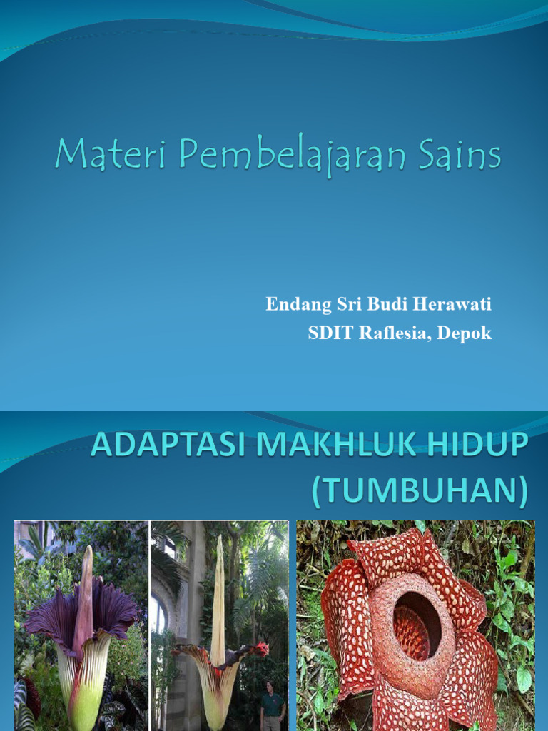 Adaptasi Tumbuhan | PDF | Griya & Taman | Sains & Matematika