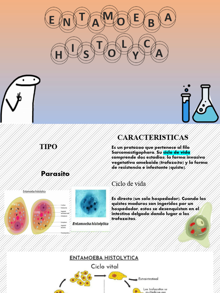 Expo Micro | PDF | Microbiología | Inmunología