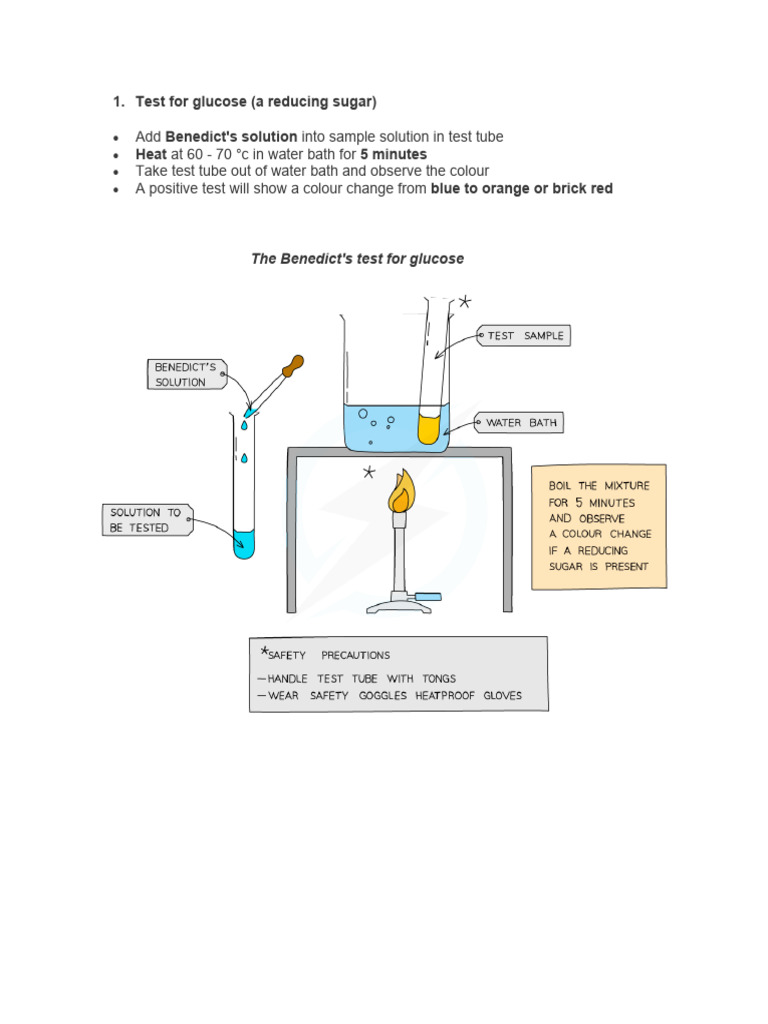 Four Key Food Tests Explained | PDF | Wellness