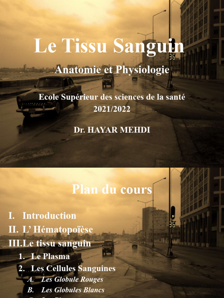 Anatomie et Physiologie du Sang | PDF | Globule blanc | Thrombocyte