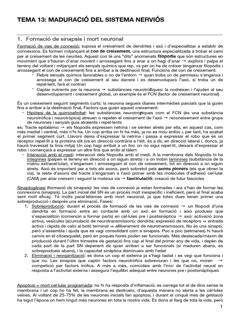 Tema 13 Bio PDF | PDF