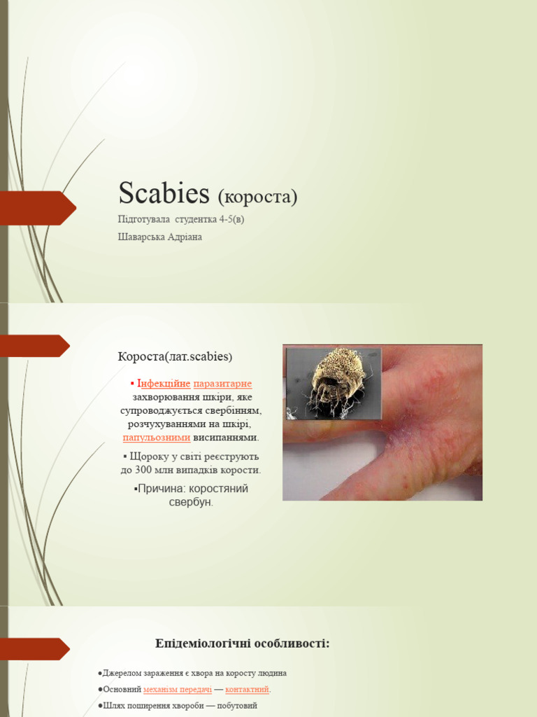 Scabies (Короста) | PDF