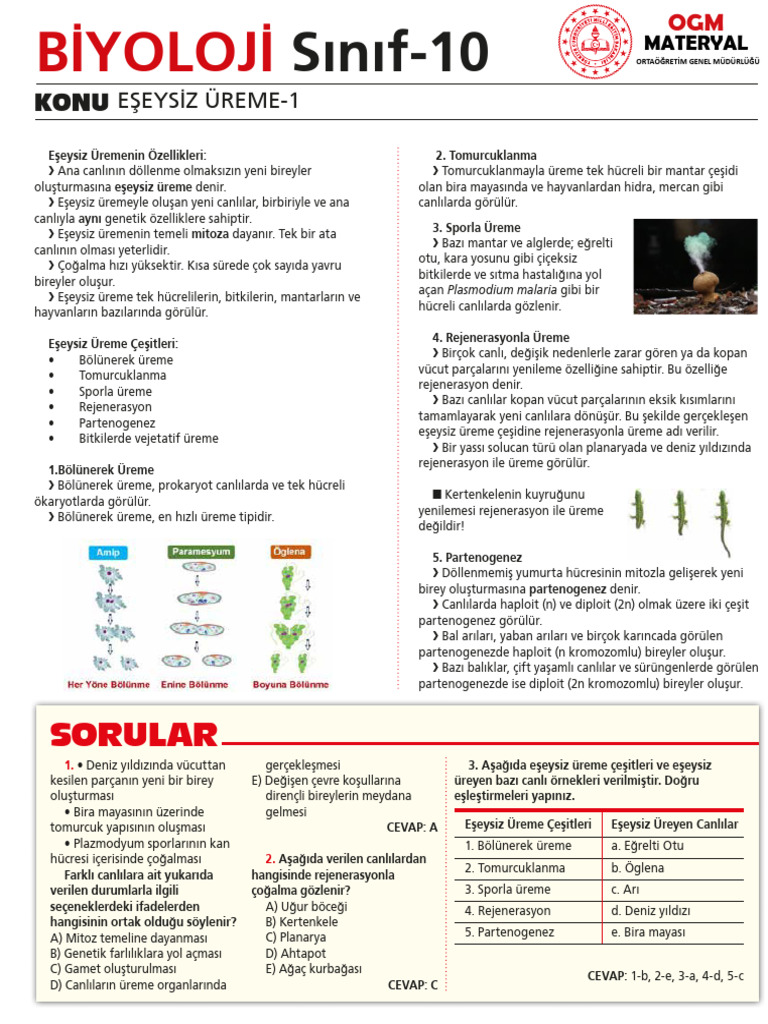 Onri 3 Eip 401 | PDF
