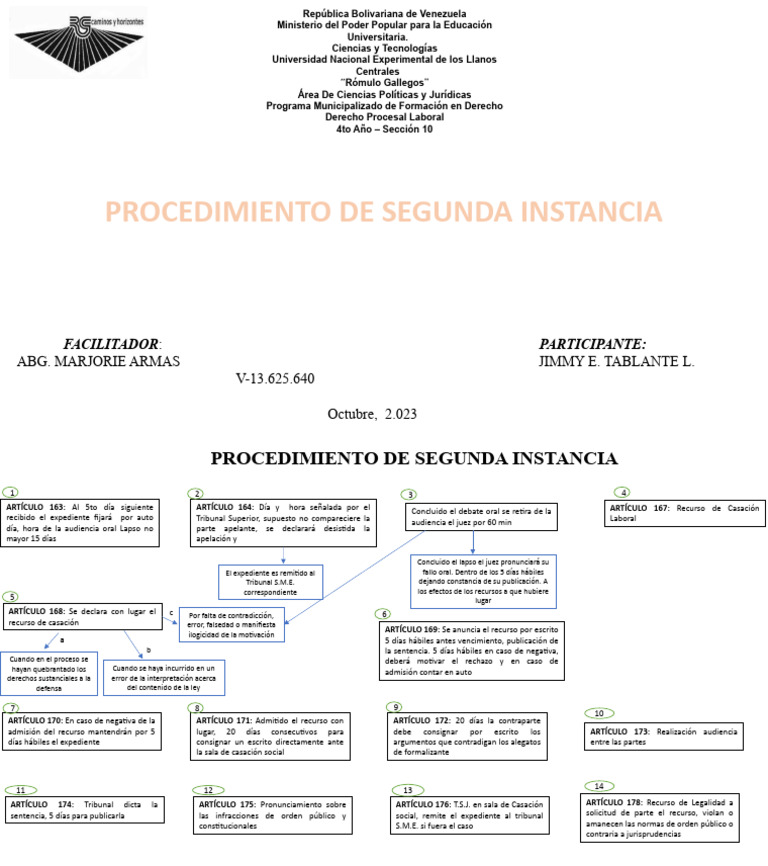 Procedimiento de Segunda Instancia Laboral | PDF