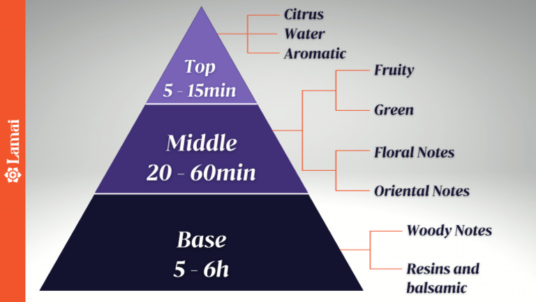 Printable Olfactory Pyramid | PDF