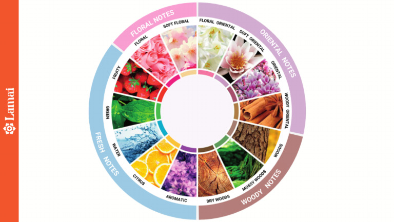 Printable Fragrance Wheel | PDF