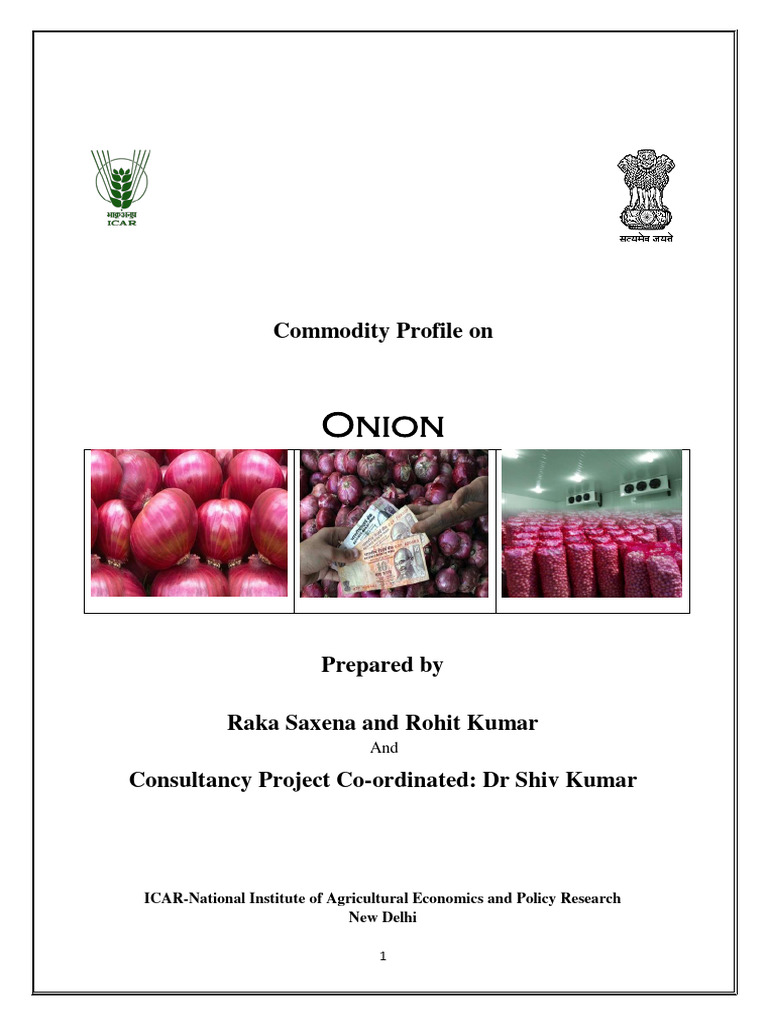 Onion Storage | PDF | Onion | Agriculture