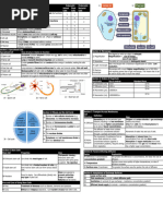 STAR Skin Tear Tool 04022010 | PDF | Skin | Wound