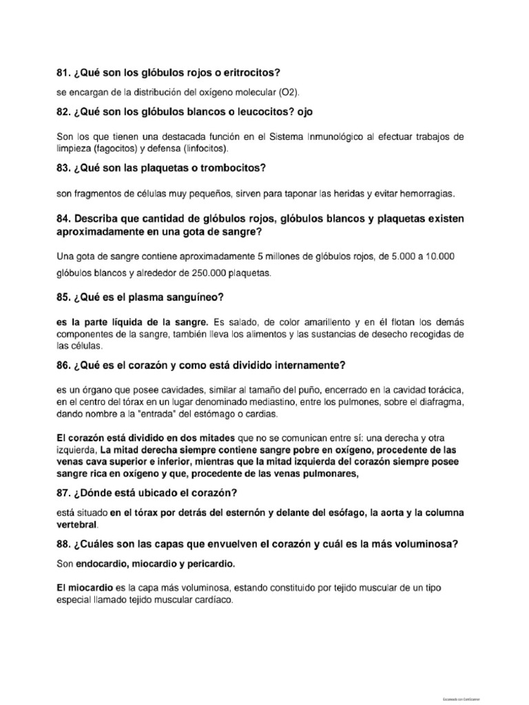 Examen Final Anatomia | PDF