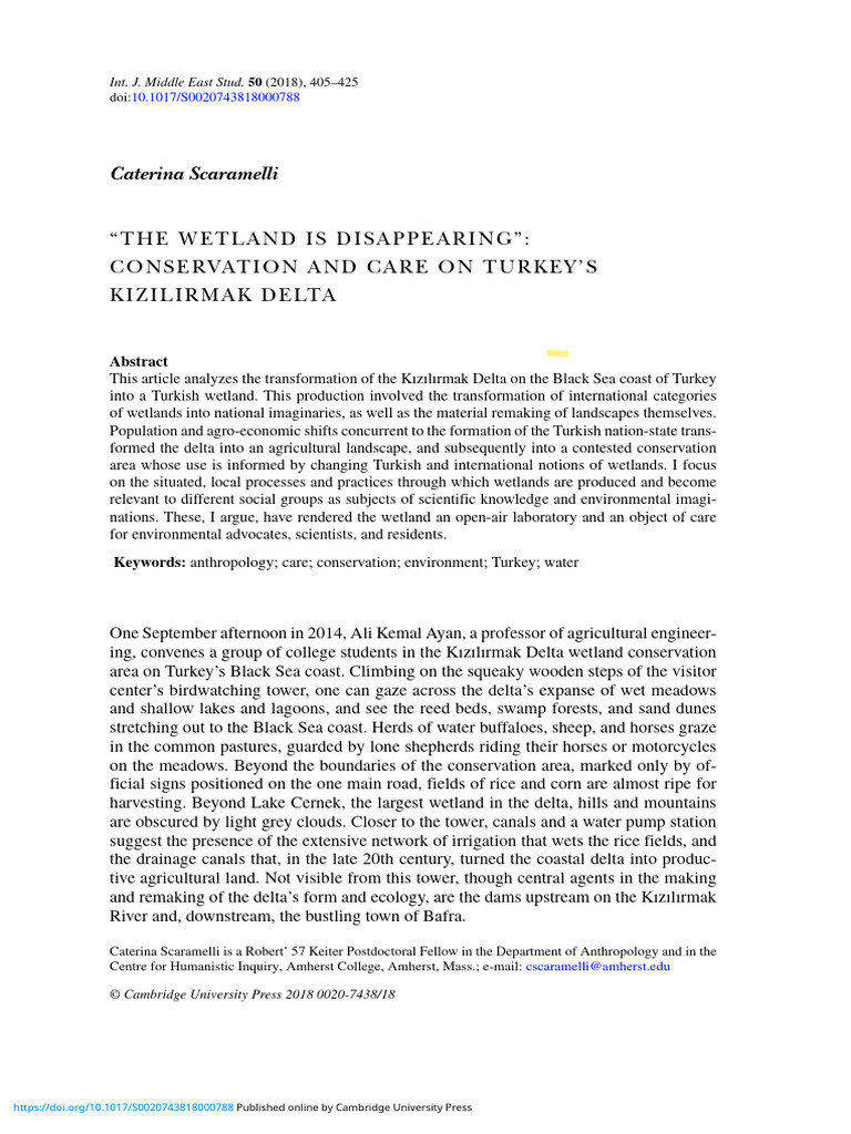 Conservation Challenges in Kızılırmak Delta | PDF | Wetland ...