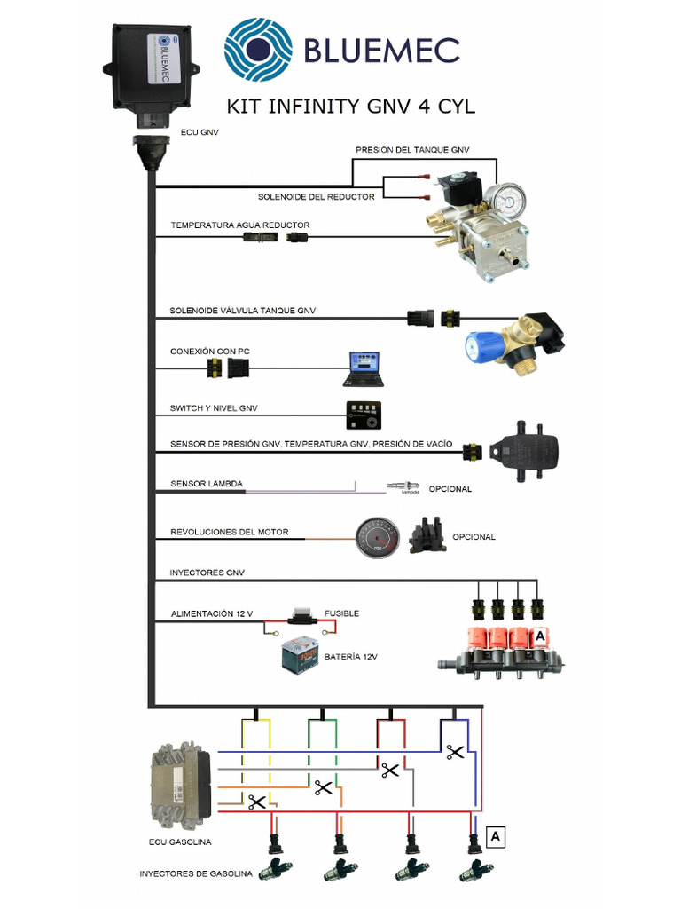 Esquema Eléctrico BLUEMEC GNV 4cil (ESP) Infinity RI27J (Rev 1.0) Per FIERA | PDF
