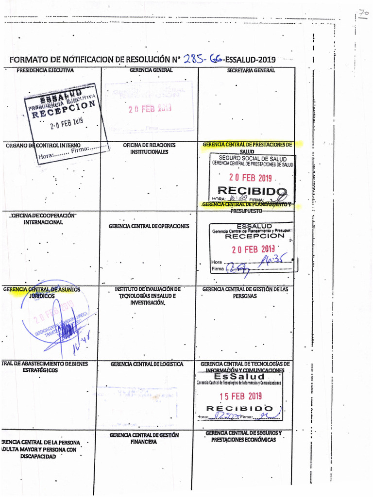 Res. 0285 GG 19 | PDF | Historial médico | Hospital