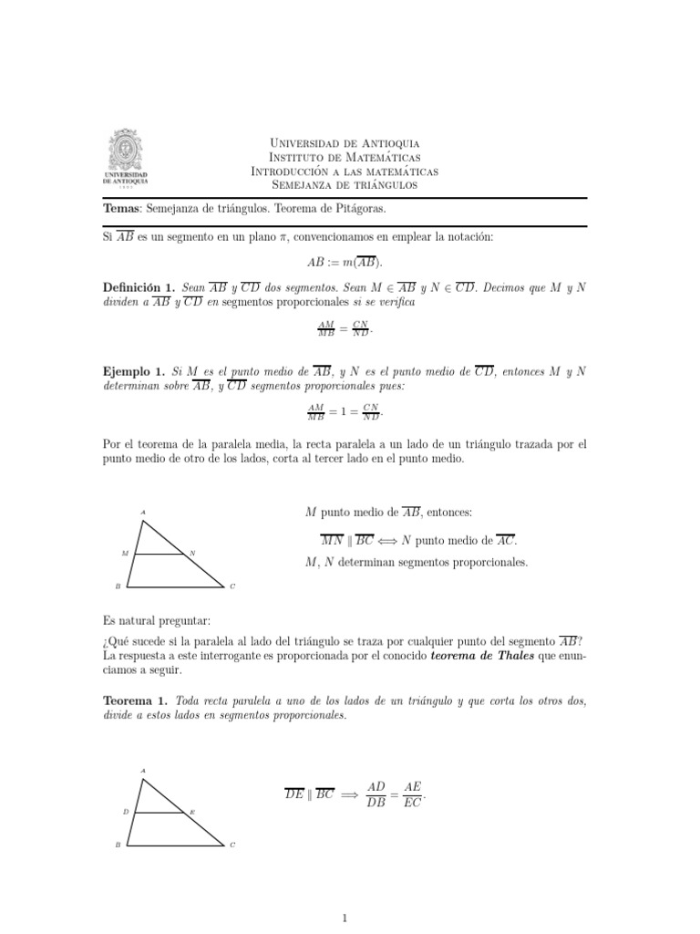 Taller 11 Semejanza | PDF | Triángulo | Geometría euclidiana
