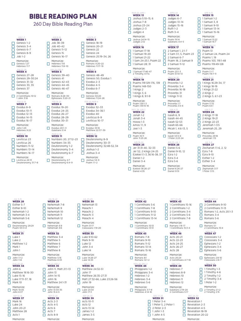 bible reading plan | PDF | Books Of The Bible | Bible Content