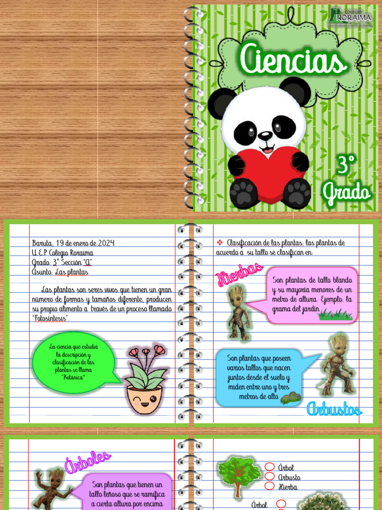 1. Las plantas | PDF