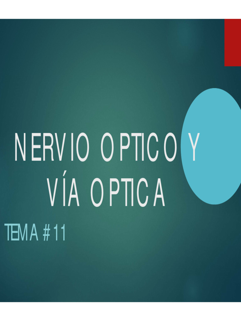 Nervio Optico y Vía Optica | PDF | Percepción visual | Lóbulo occipital
