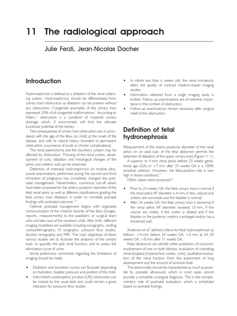 From Functional Imaging in Nephro-Urology (Alain Prigent Etc.) (Z-Library) | PDF | Urinary ...