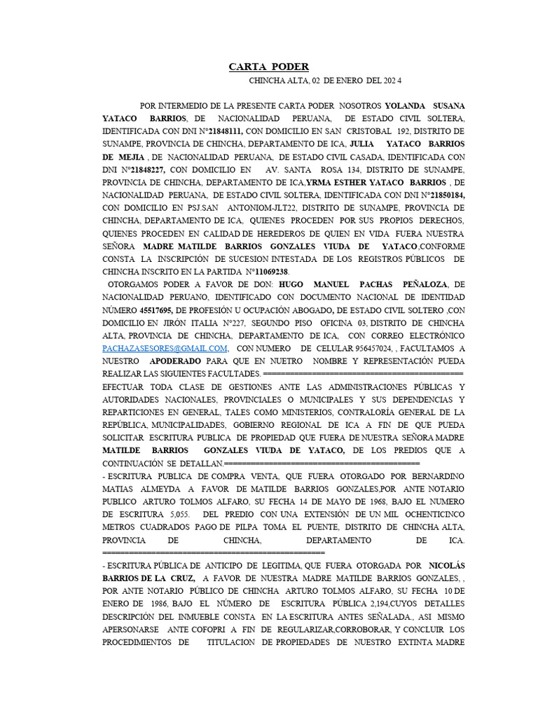 CARTA PODER Castillon | PDF