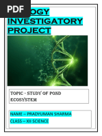 Microbes in Human Welfare Class 12 Investigatory Project | PDF ...