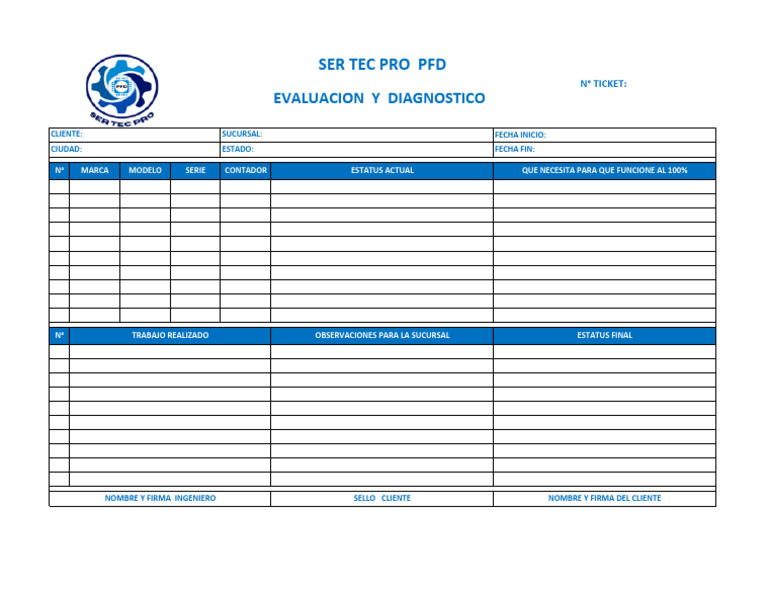 FORMATO DE EVALUACION Y DIAGNOSTICO SER TEC PRO PFD | PDF