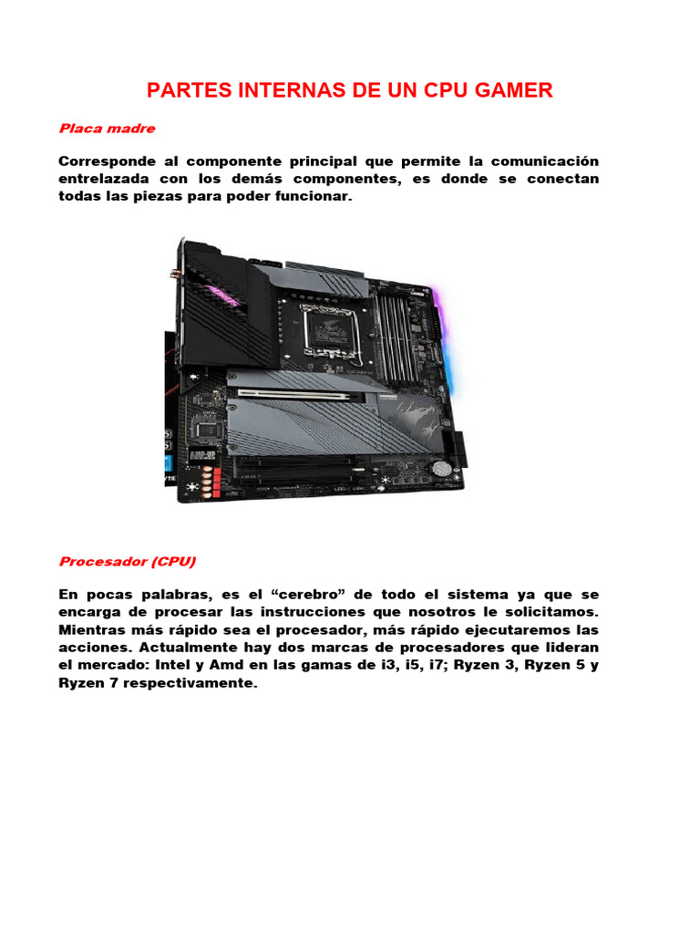 PARTES INTERNAS DE UN CPU | PDF | Microprocesador | Unidad de estado sólido