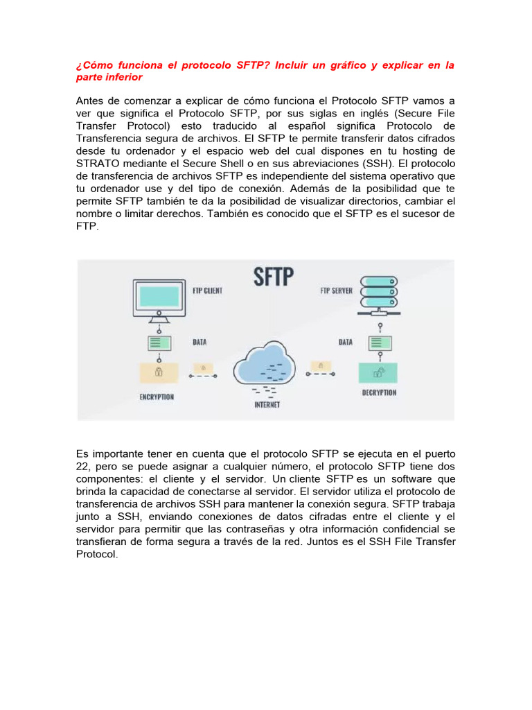 Principales Protocolos de Transmisión en Internet | PDF | Cubierta segura | Jabón