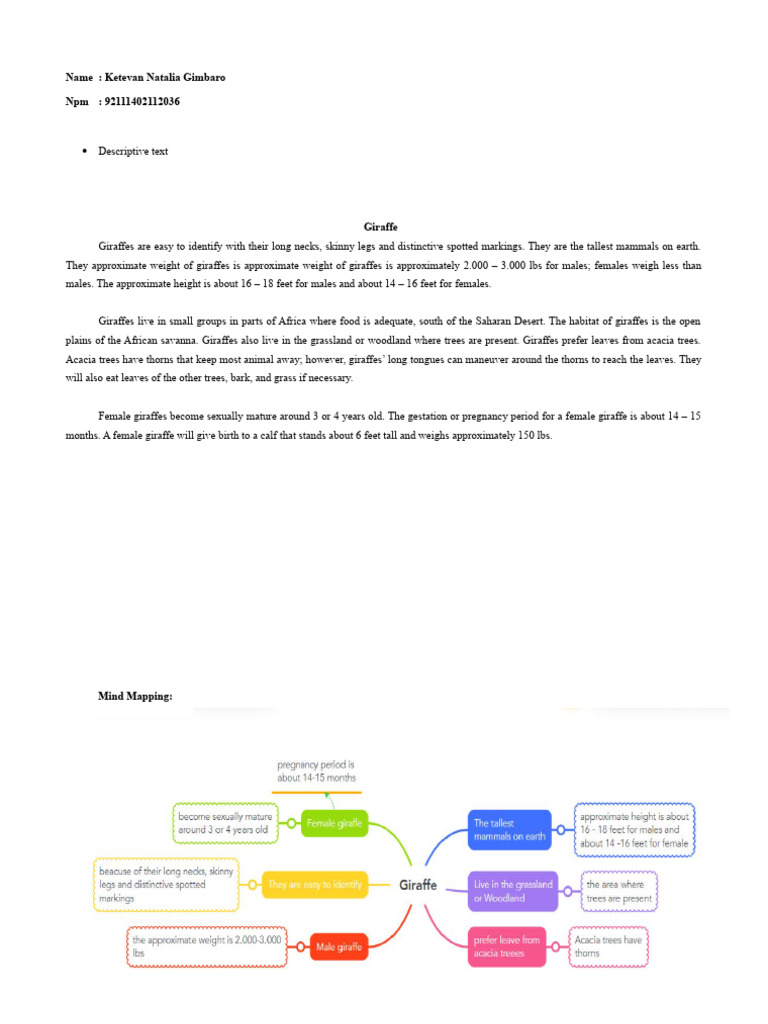 Mind Mapping Assignment | PDF